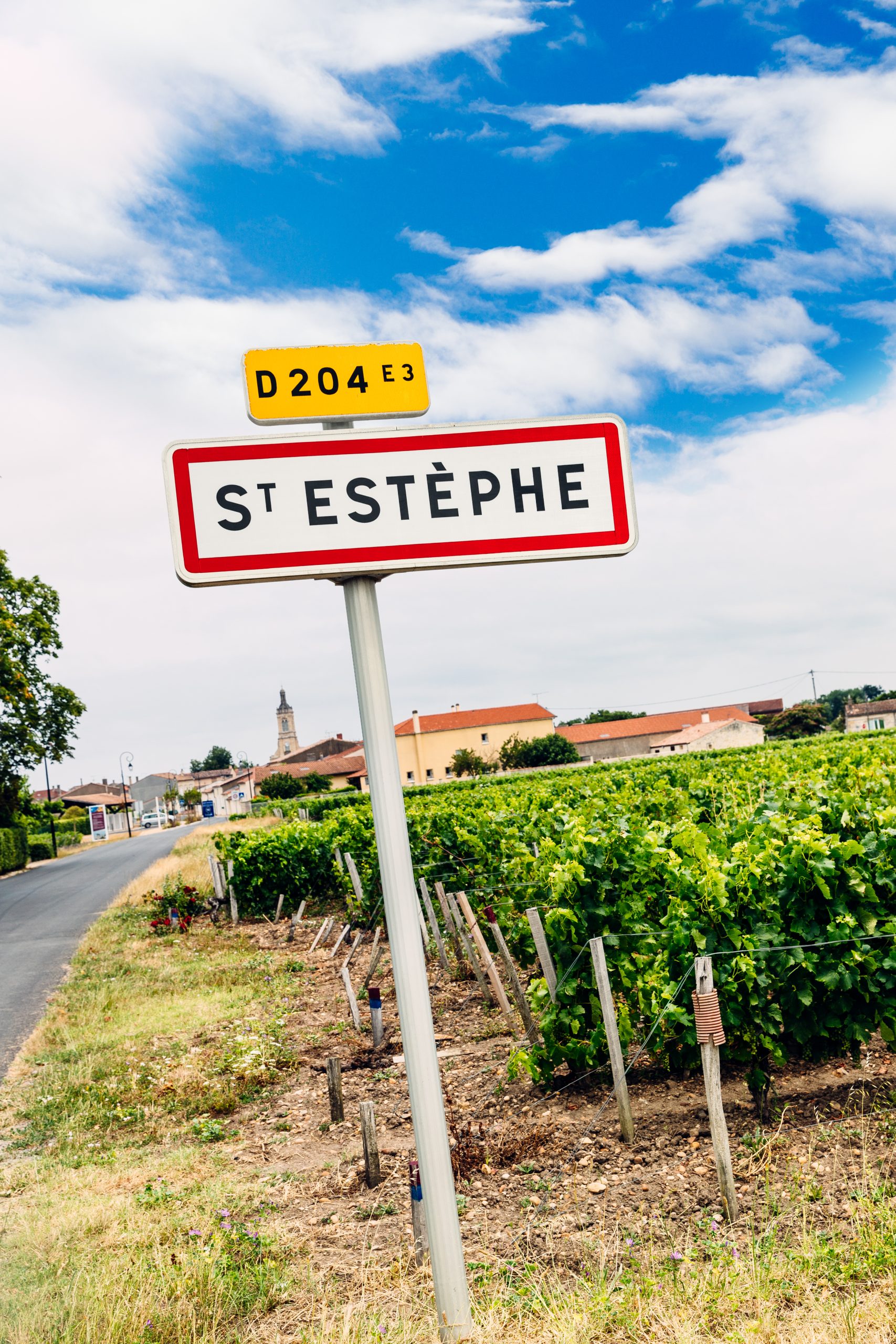 St Estèphe en primeur 2022: full tasting notes - The Drinks Business