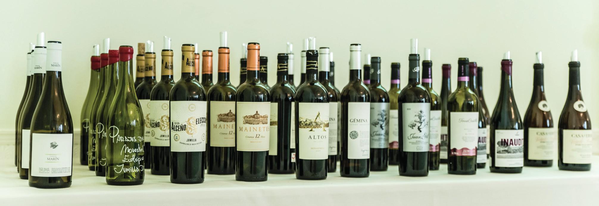 Underrated, ungrafted, and organic: Jumilla - The Drinks Business