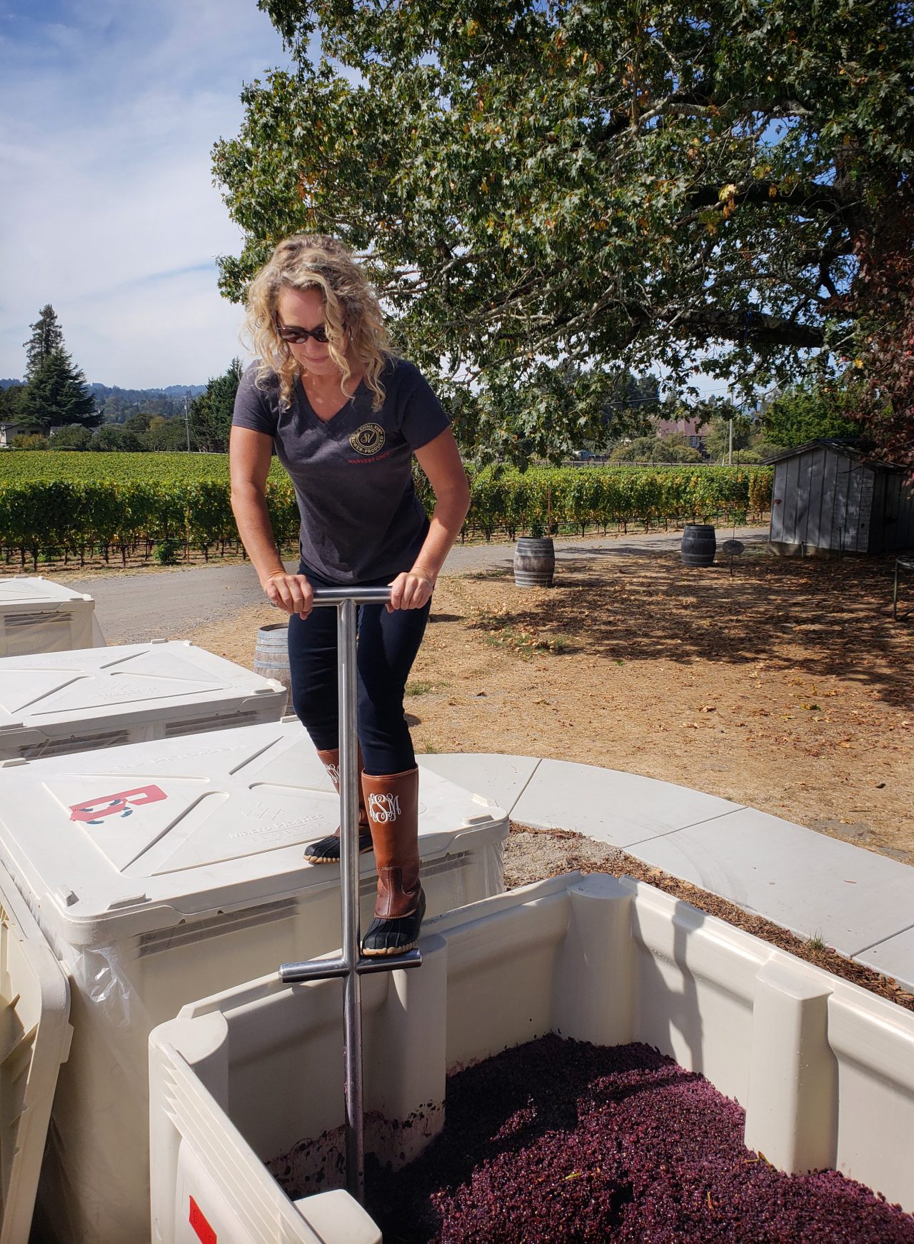 How foot treading on grapes has hopped across the Pond