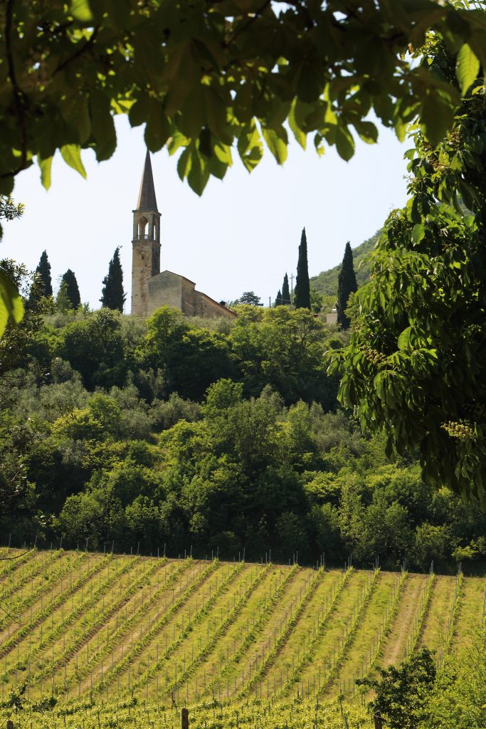 Colli Berici: a hidden gem in the Veneto region