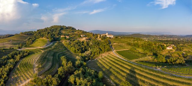 Is Friuli Venezia Giulia Italy's next major wine destination?