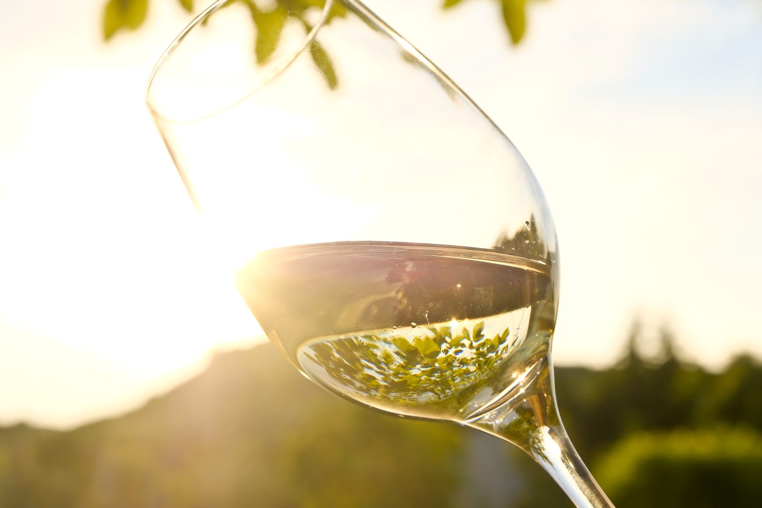 What does climate change mean for fine white wine?