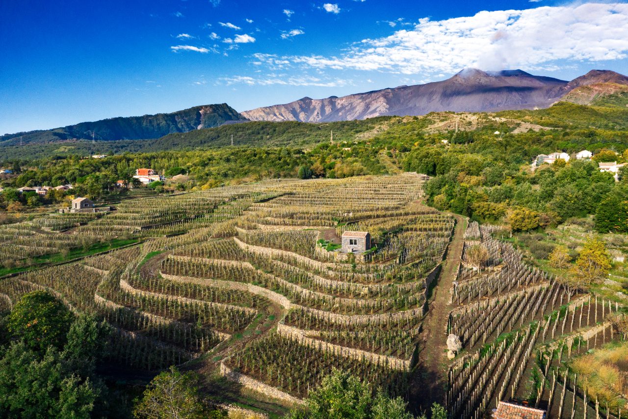 Alto Adige DOC & Etna DOC Wine and Food Pairing event - The Drinks Business