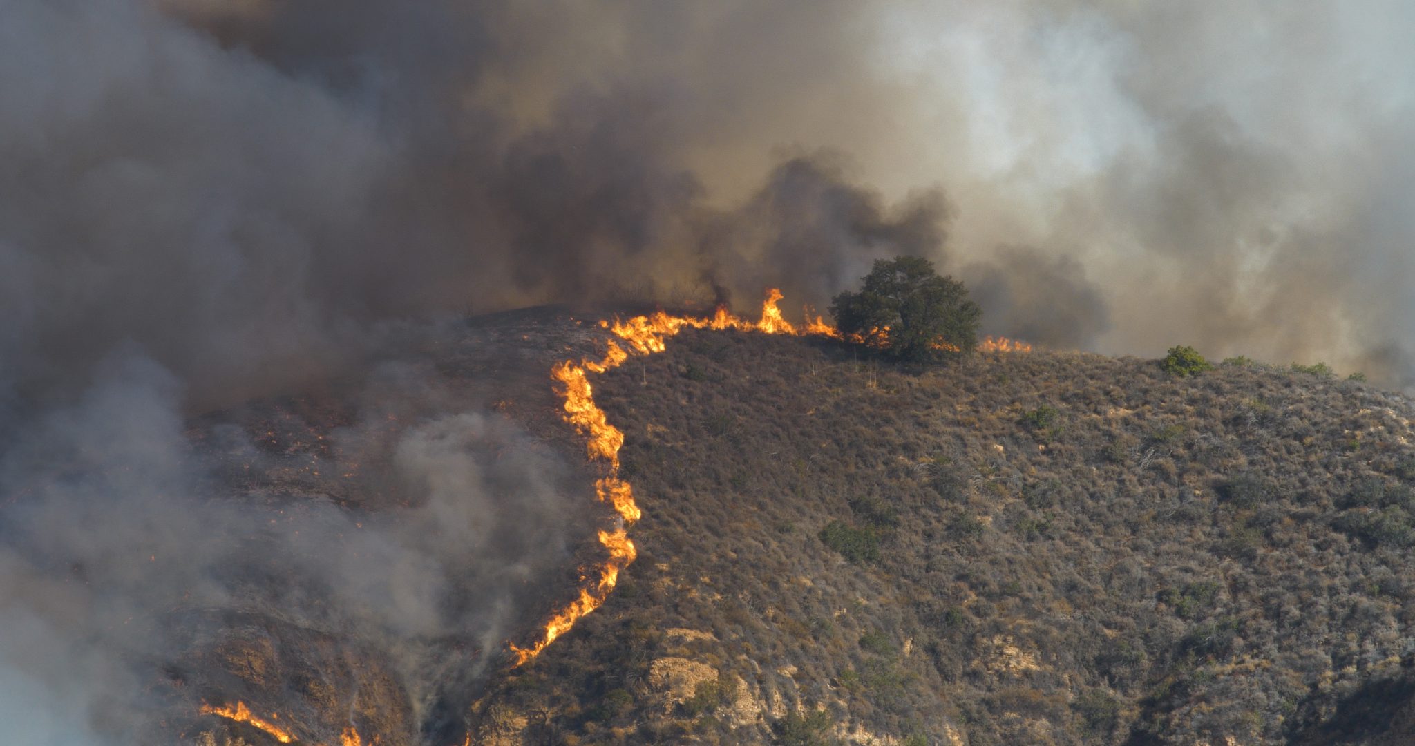 Napa workers seek US$300 million over Glass Fire clean-up