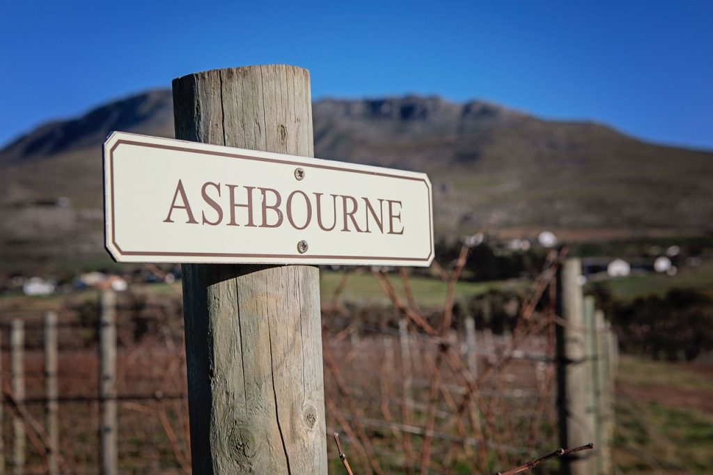Ashbourne Pinotage: ‘the path of most resistance’