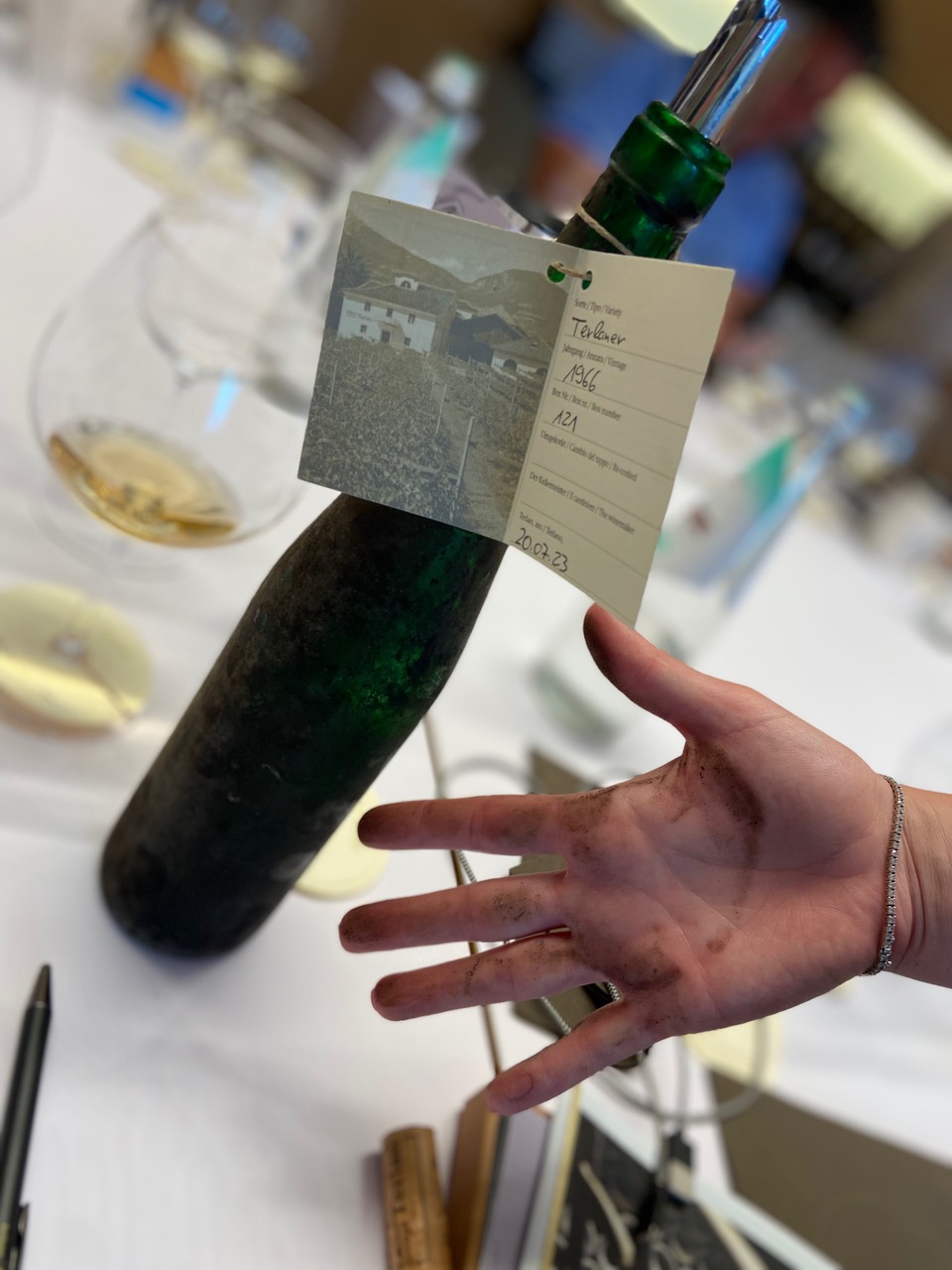 Andriano and Terlan: taking Alto Adige's white wines to new heights