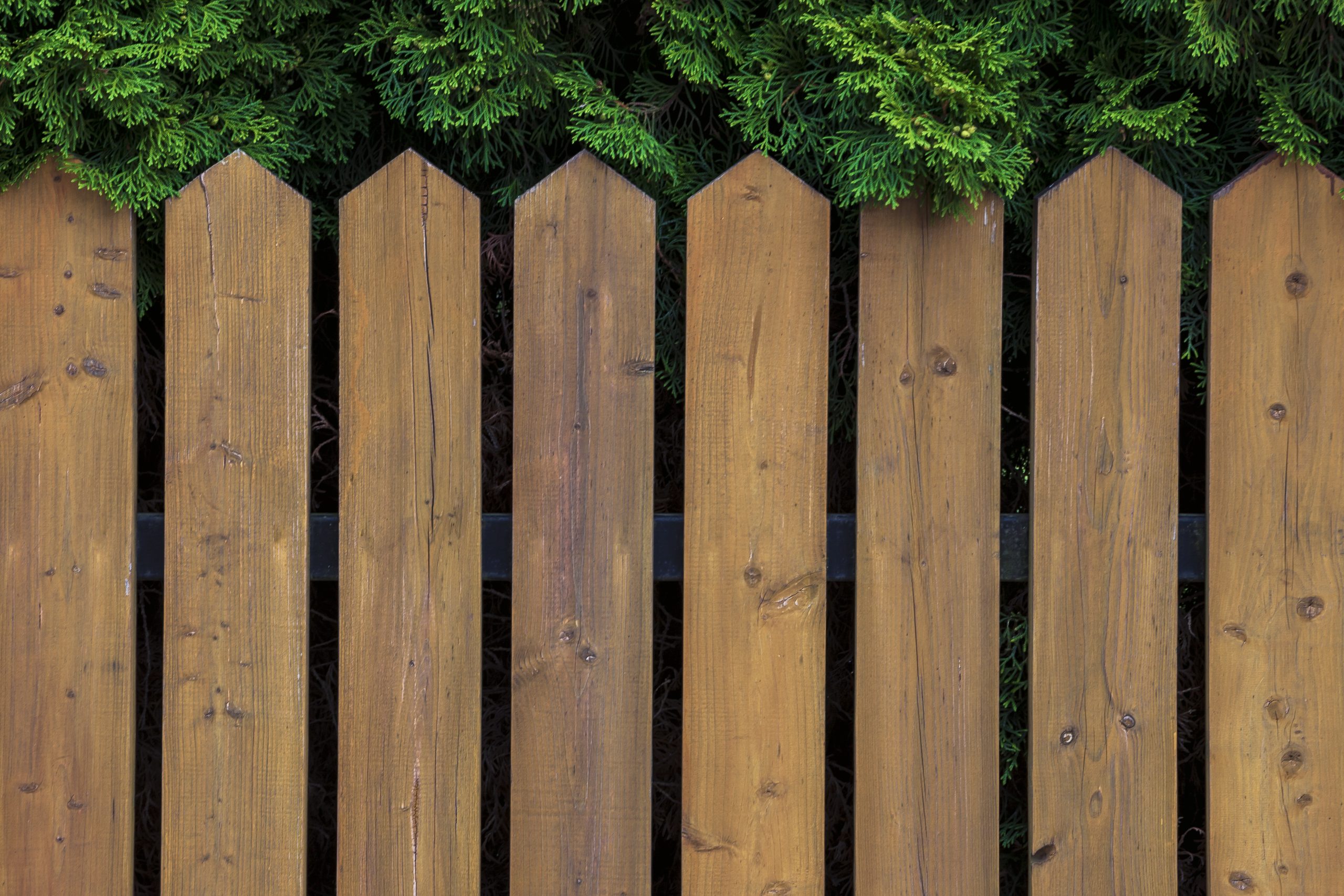 Pub landlord in fence feud with council