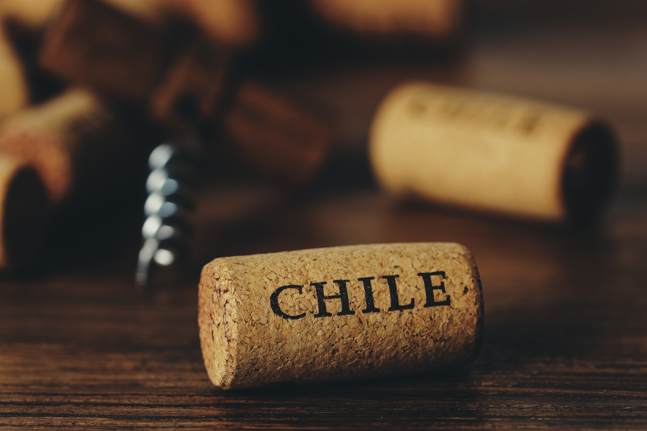 10 Chilean wine icons tasted and rated - The Drinks Business