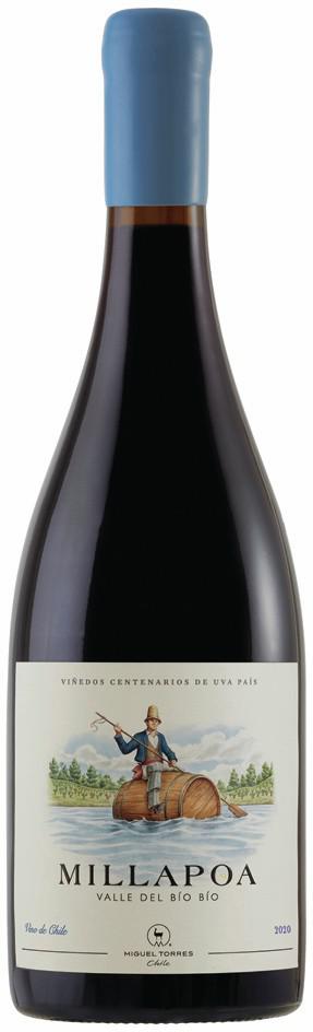 11 exciting red wines from Chile - The Drinks Business