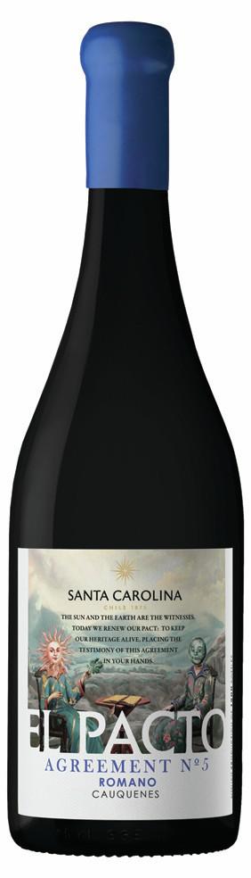 11 exciting red wines from Chile - The Drinks Business