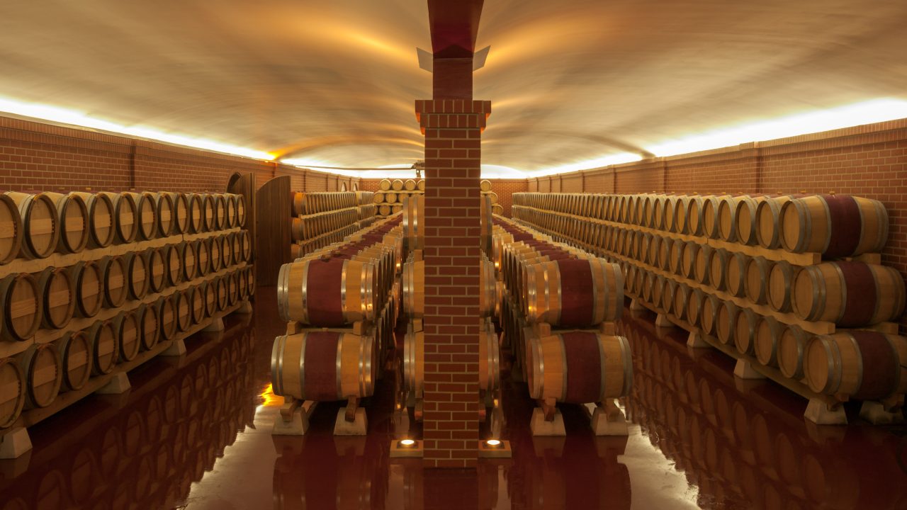 Adrian Bridge: High-end Bairrada could be 'the Vega Sicilia of Portugal'