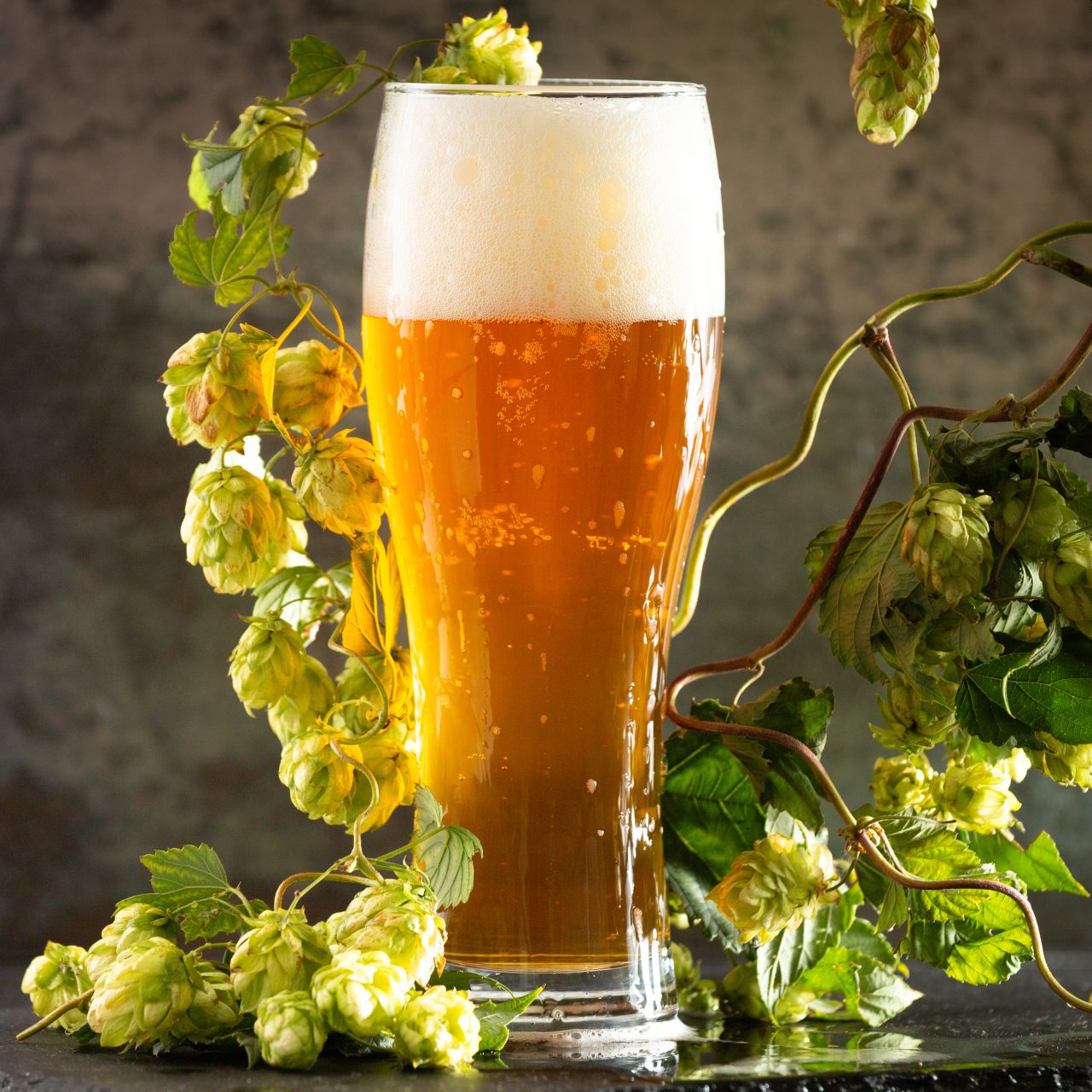 Beers brewed with European hops face uncertain future