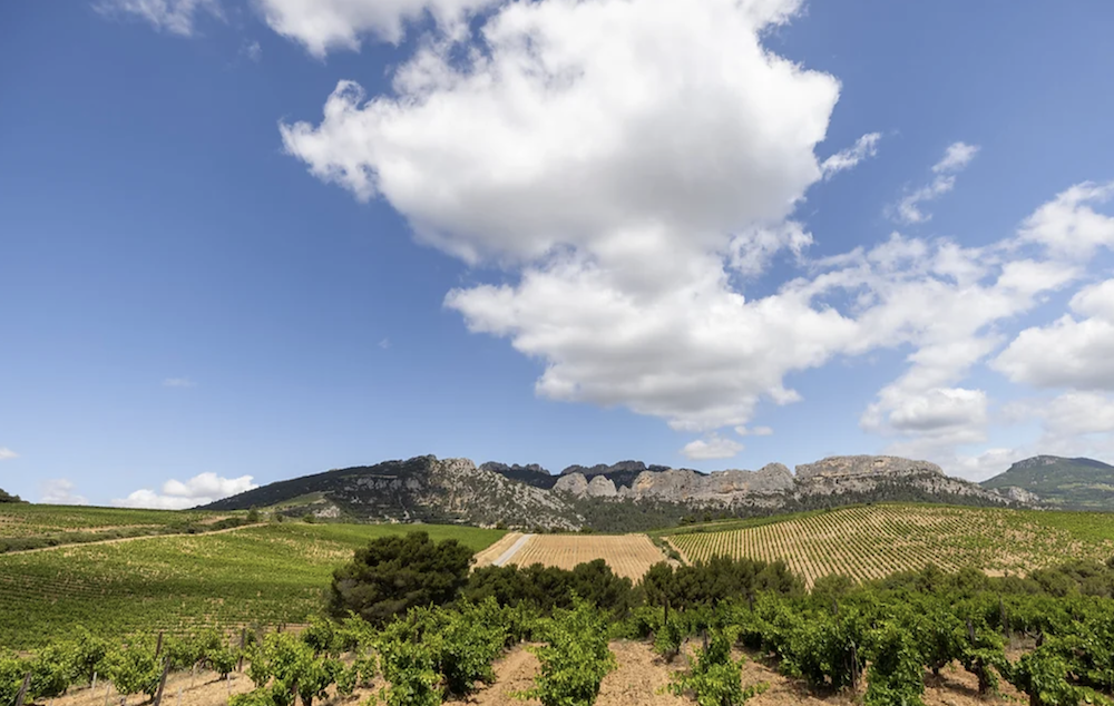 Vignobles Strasser-Radziwill: an expression of the Southern Rhone - The ...