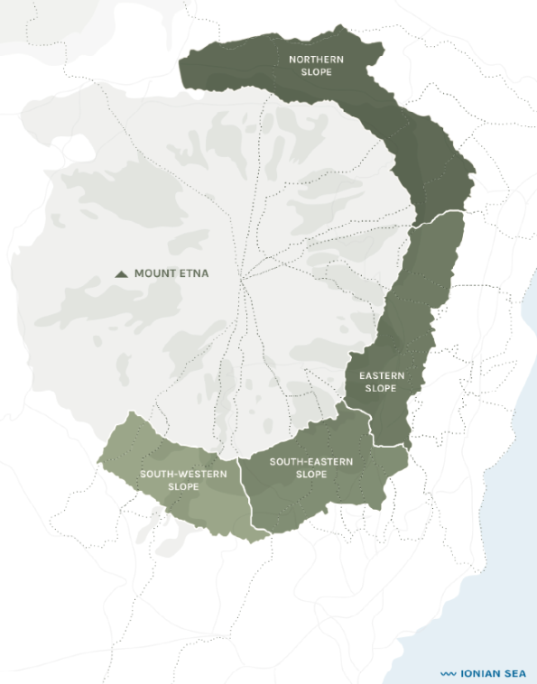 Etna DOC harvests a smaller but 'excellent' crop - The Drinks Business