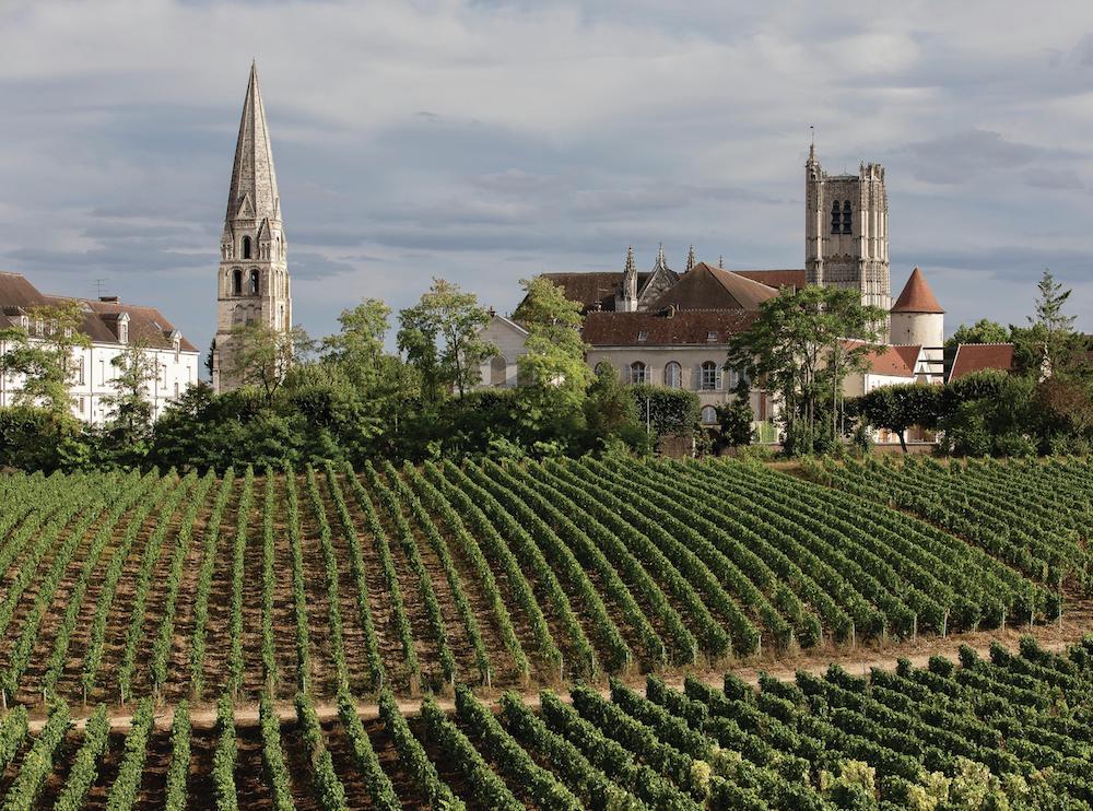 How Bourgogne producers are paving a future