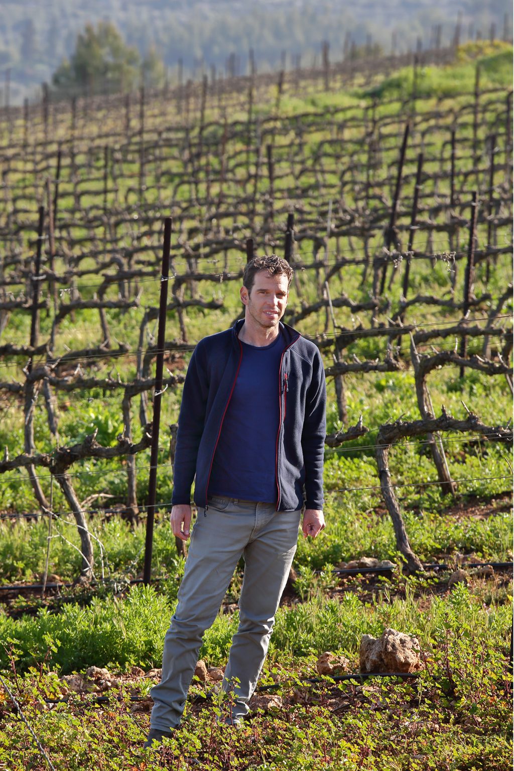 MW reveals horrors wreaked by Hamas on Israeli wine trade - The Drinks ...