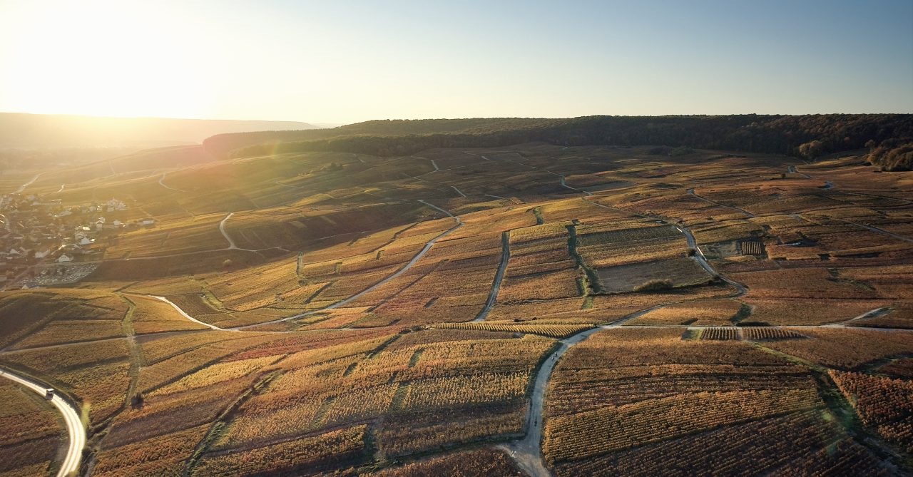 Champagne Collery reclaims a rich heritage of winemaking