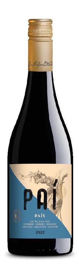 11 exciting red wines from Chile - The Drinks Business