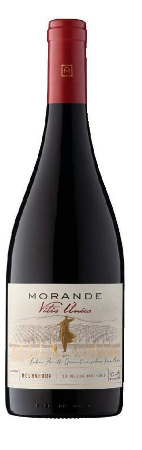 11 exciting red wines from Chile - The Drinks Business