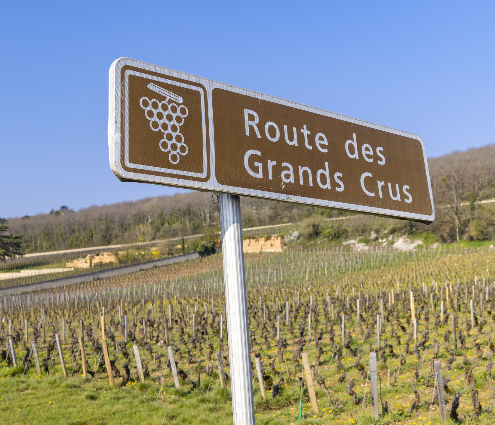 Can Asia maintain its consistent thirst for Grand Cru Burgundy?