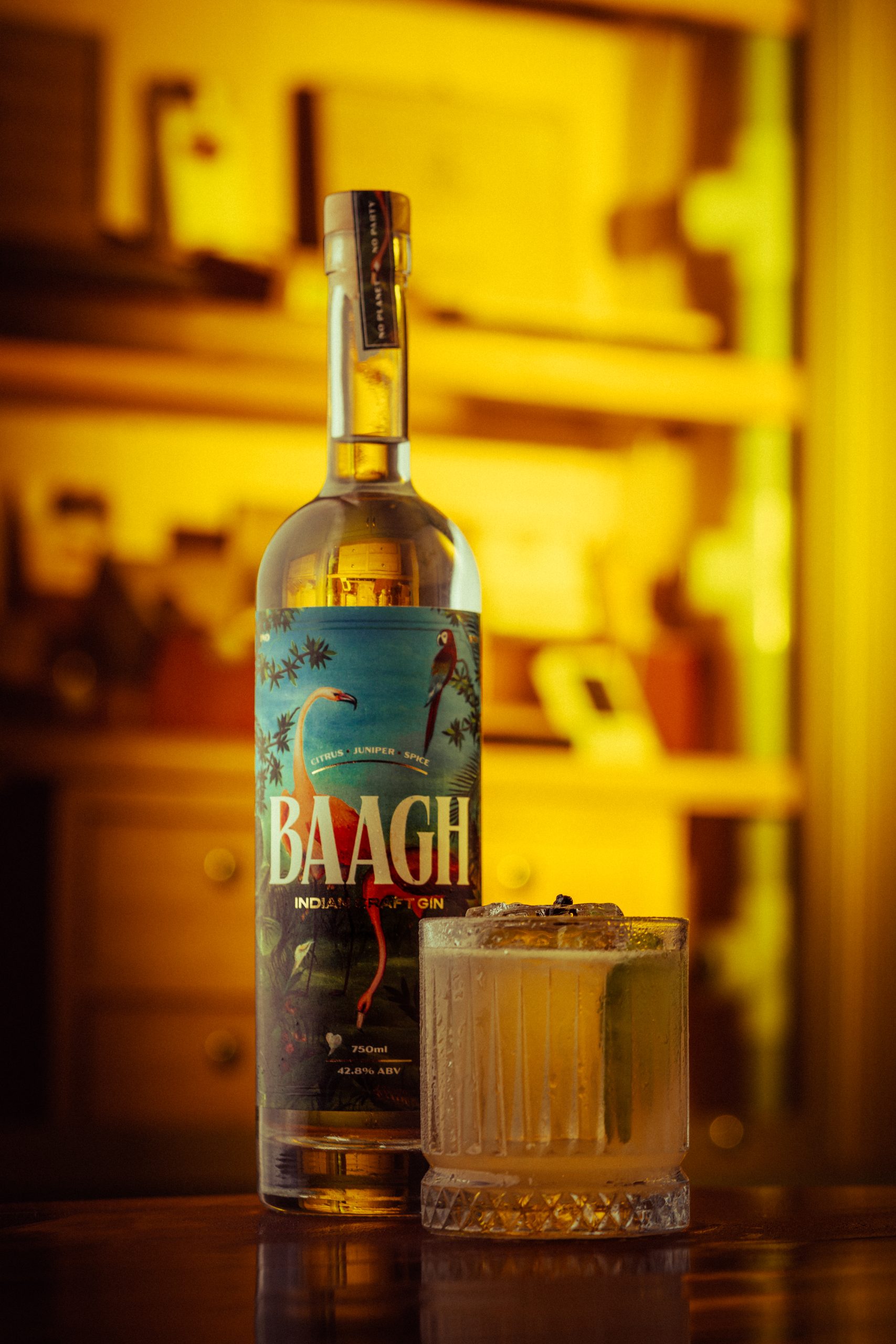 Top 10 craft gin brands from India