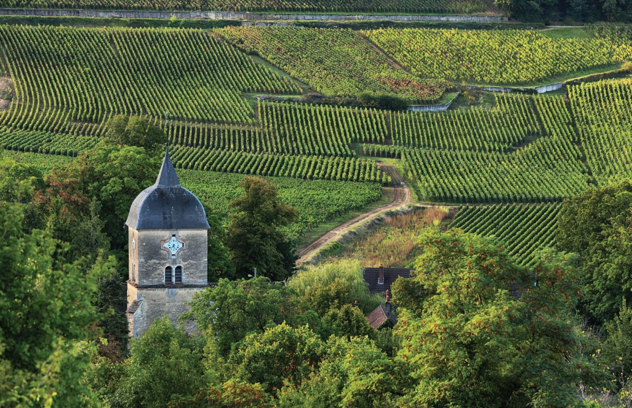 Burgundy en primeur: wonderful wines, but allocations impacted