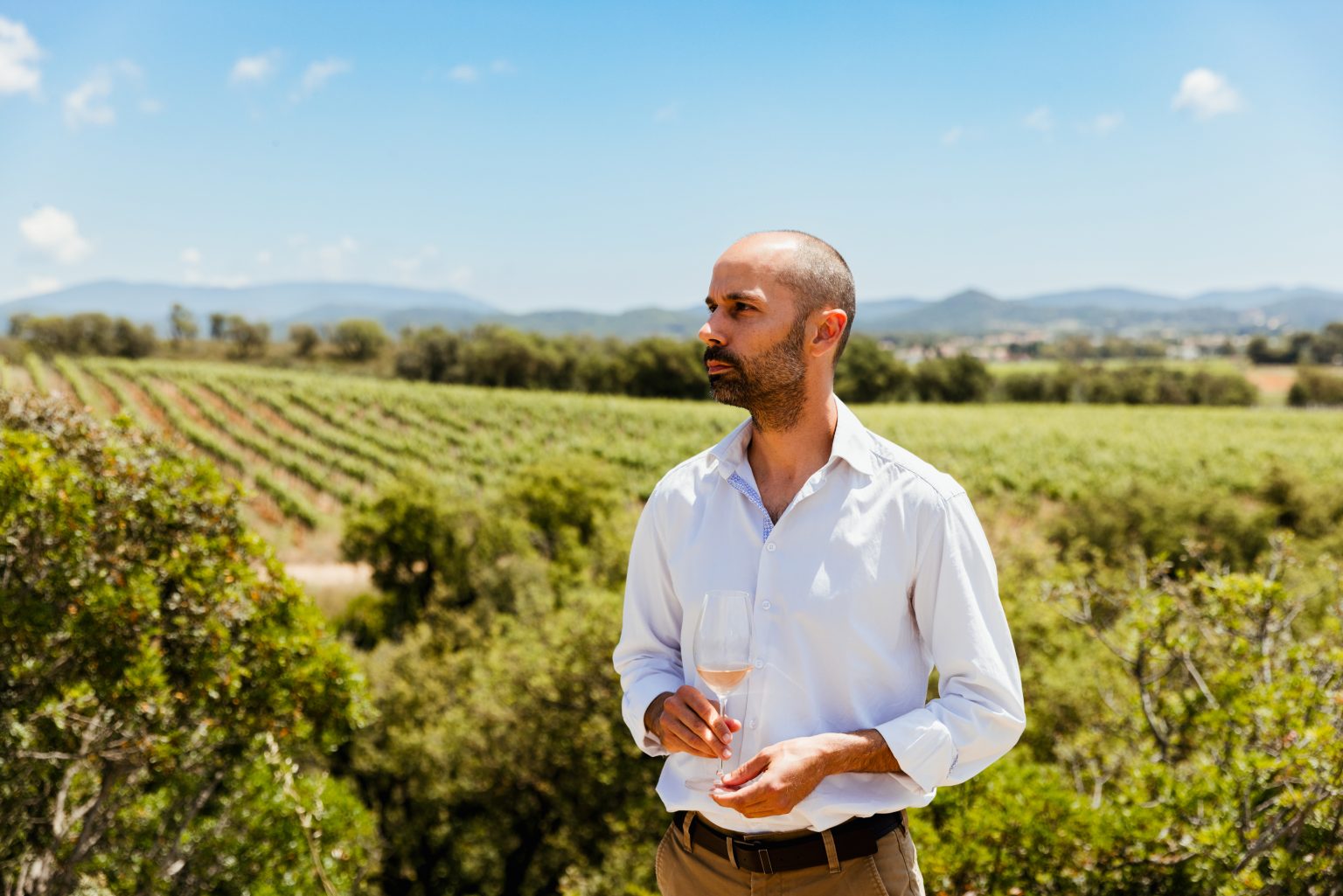 Château Galoupet: 'We are obsessed with preserving the diversity of the plot wines'