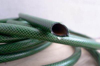 Proust Q&A: Yannick Champ - The Drinks Business