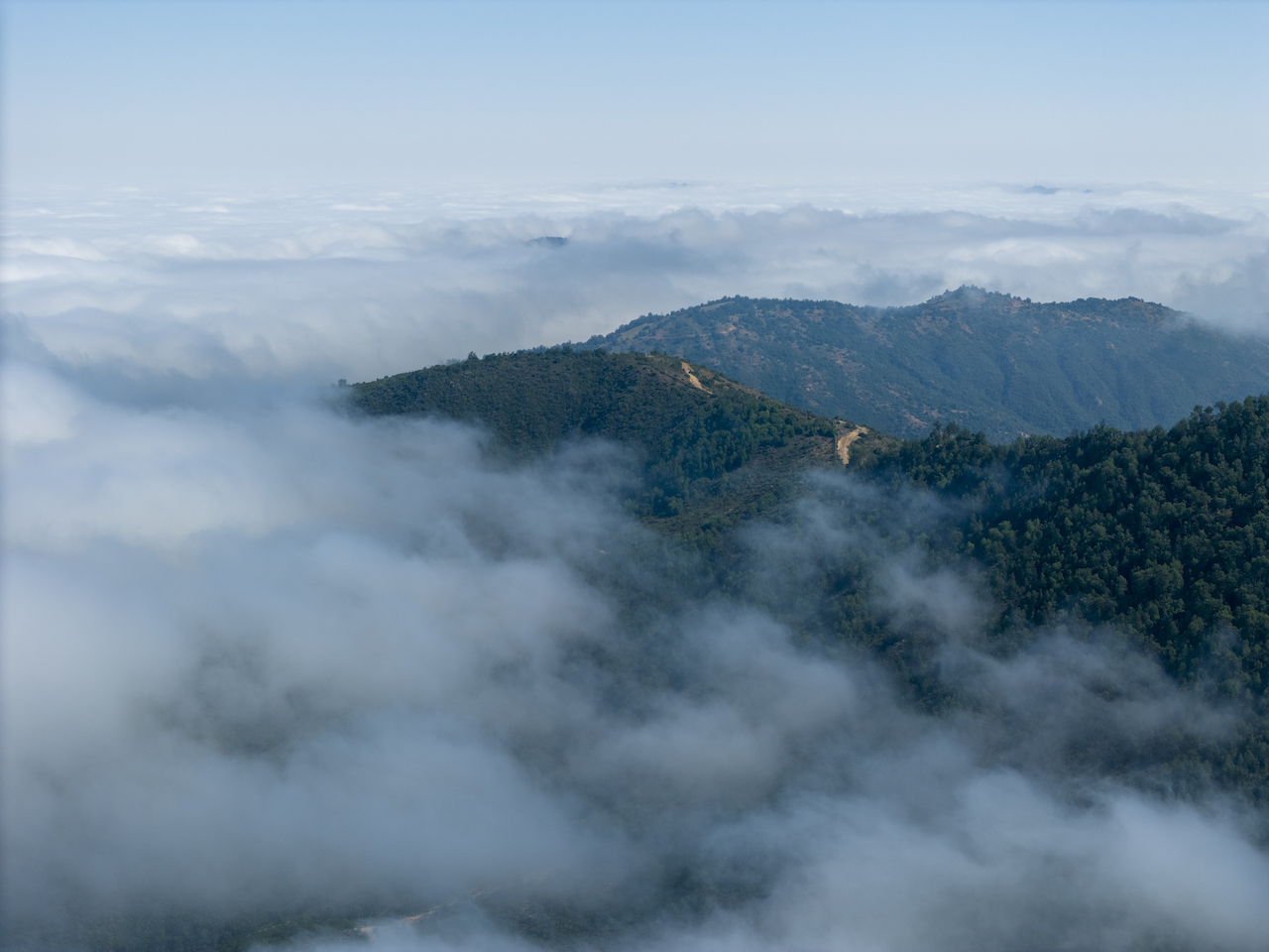 Has Stone VIK created a new wine category?