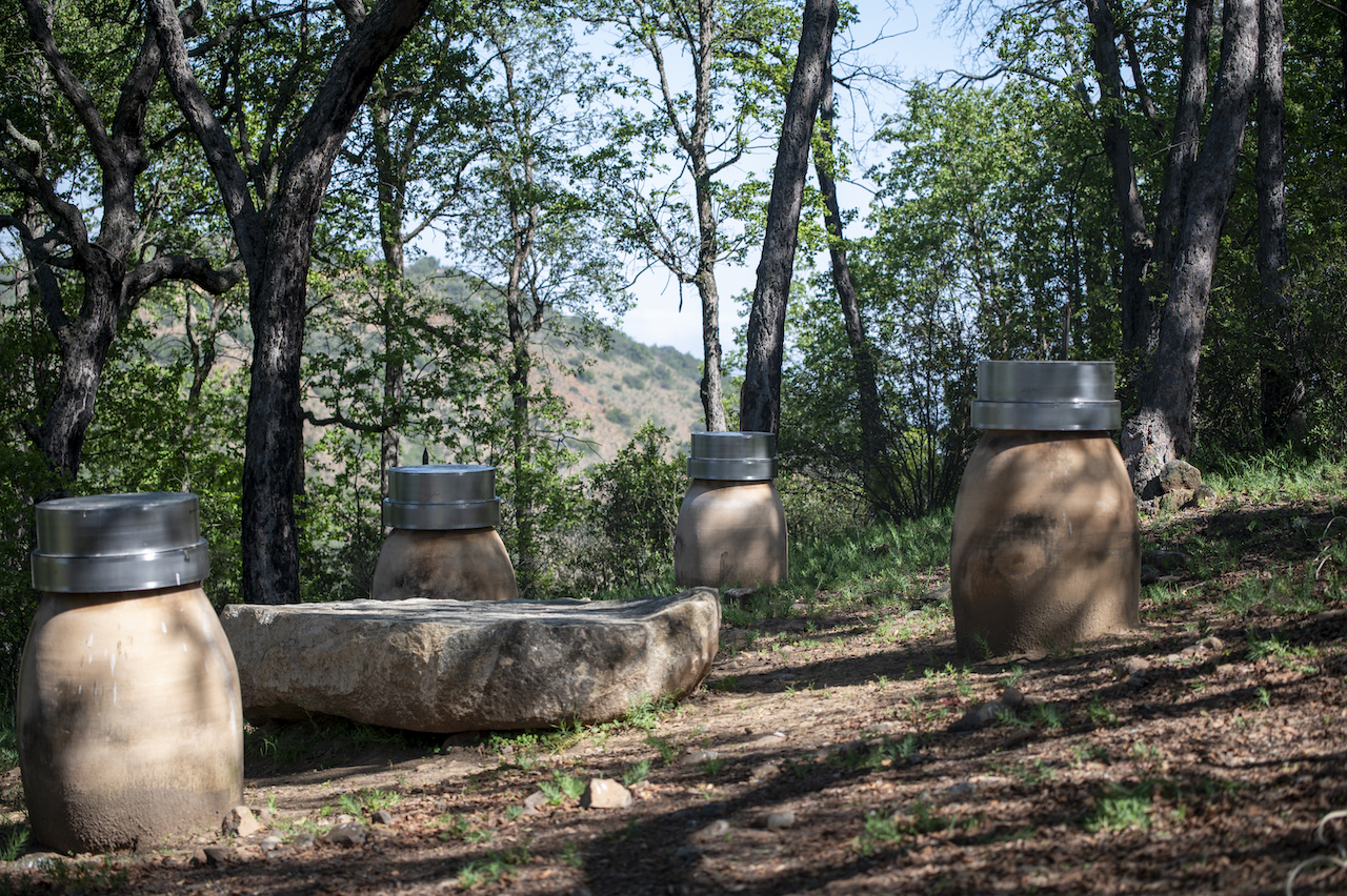 Has Stone VIK created a new wine category?