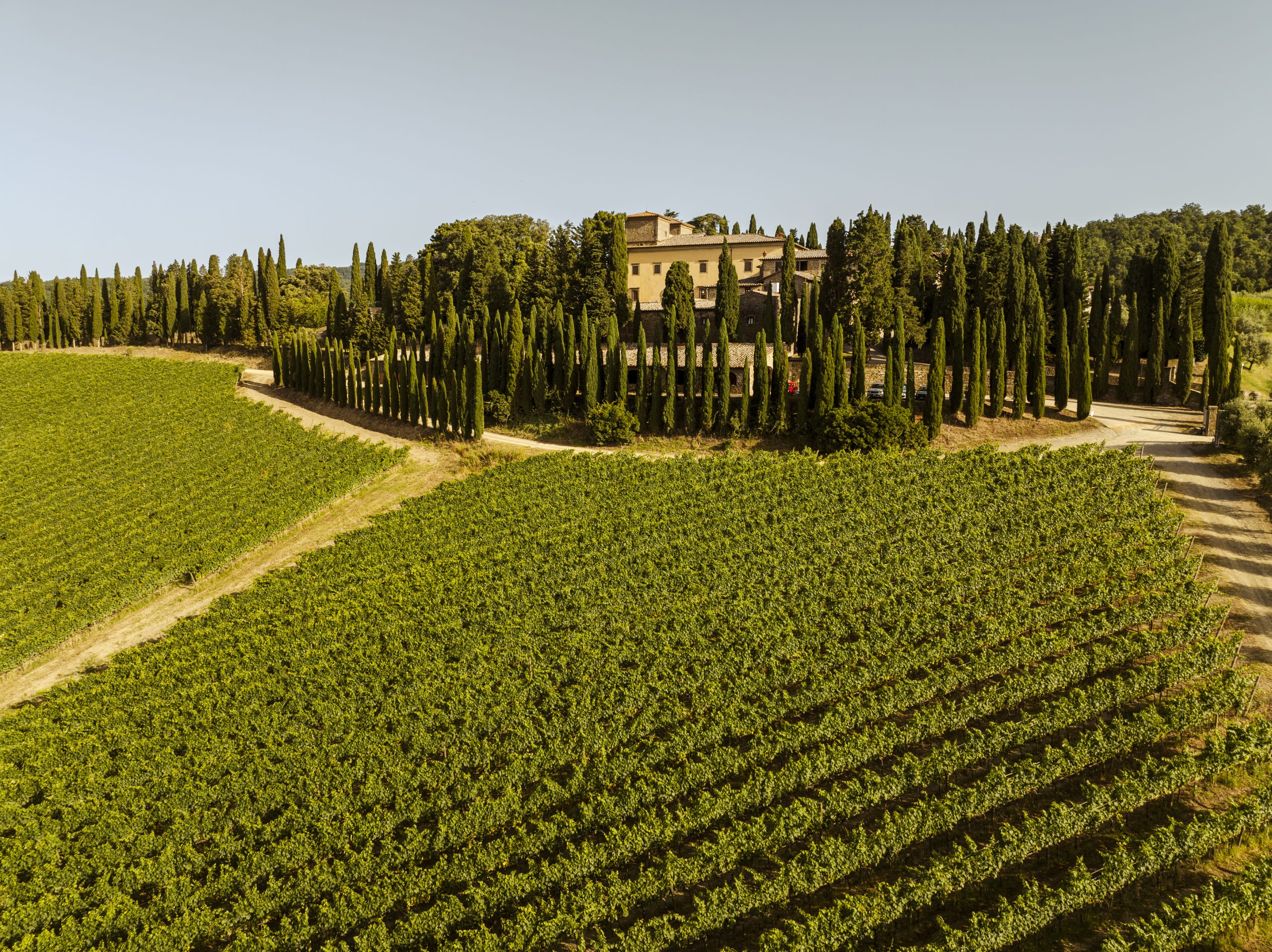 Il Solatío: the fresher side of Chianti’s Gran Selezione