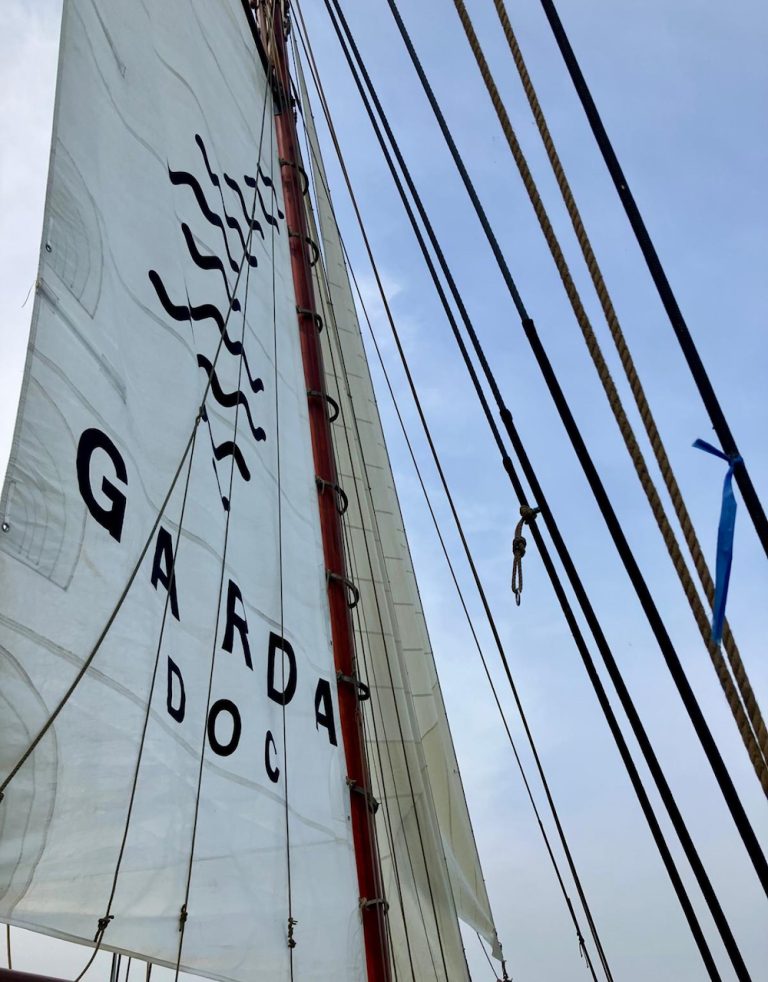 Week in pictures: 1 - 7 June 2024