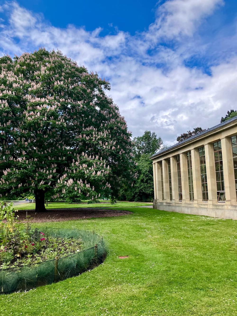 Week in pictures: 8 - 14 June 2024