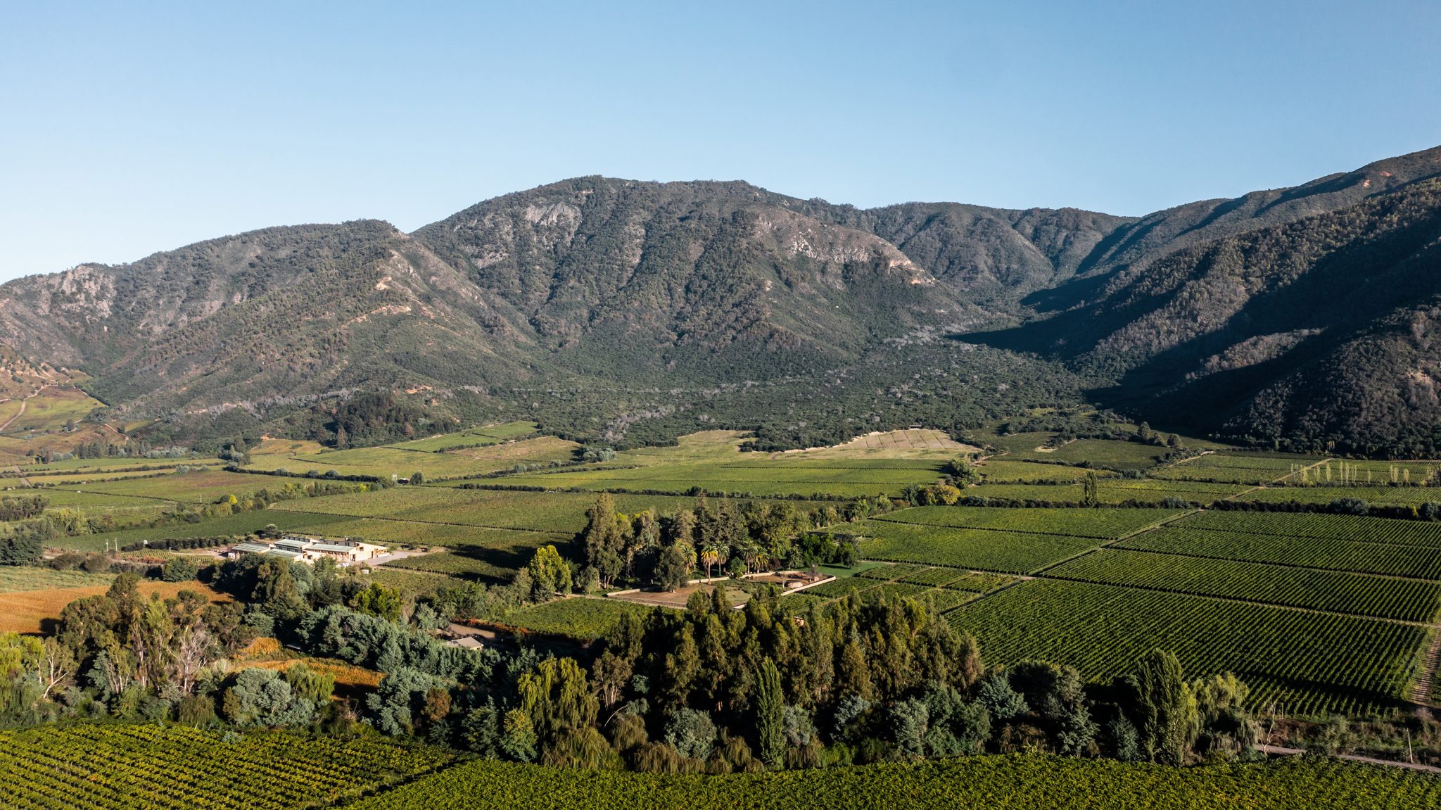 Emiliana Organic Vineyards marks Coyam wine's 20th anniversary