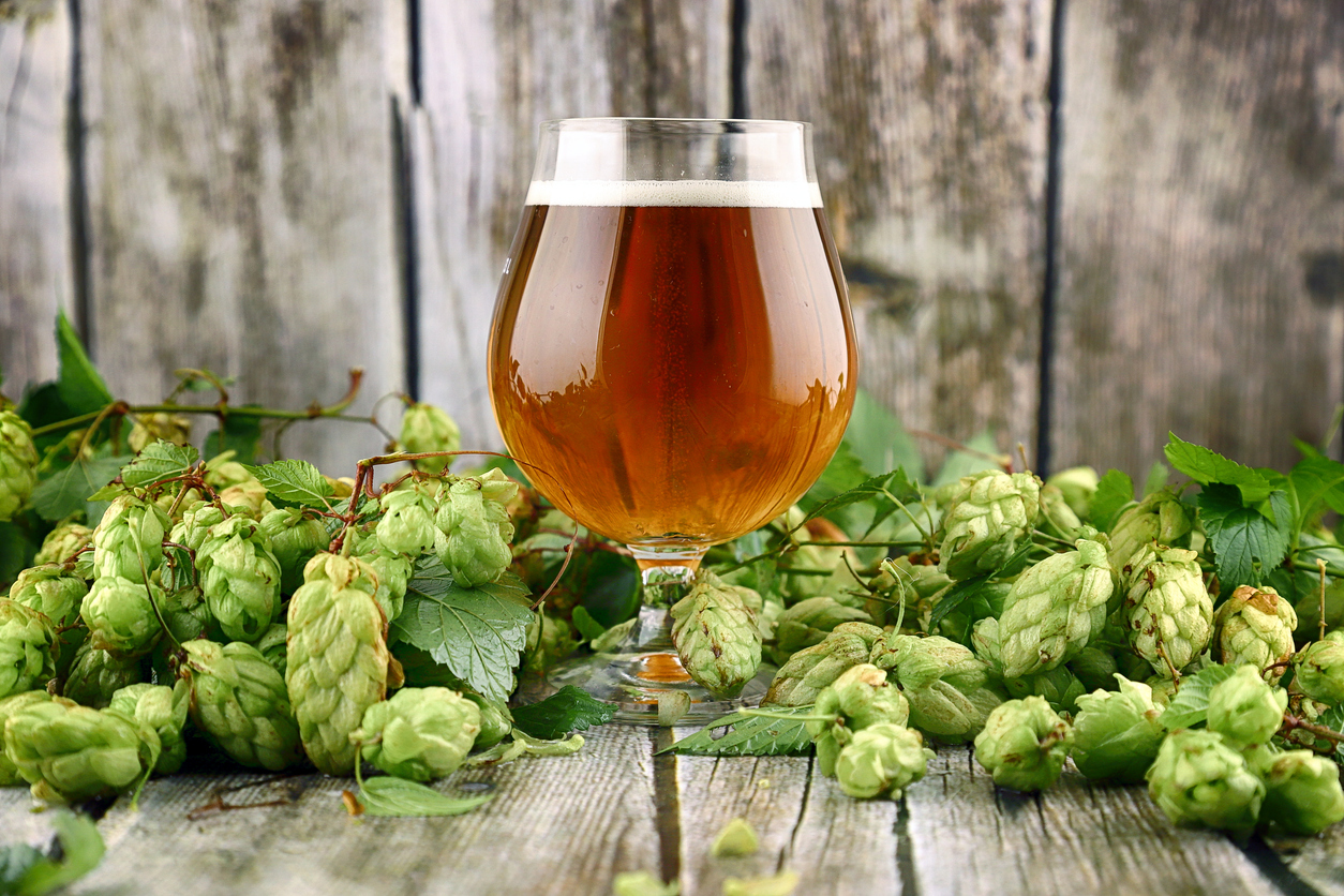 Could drinking IPAs be good for you?