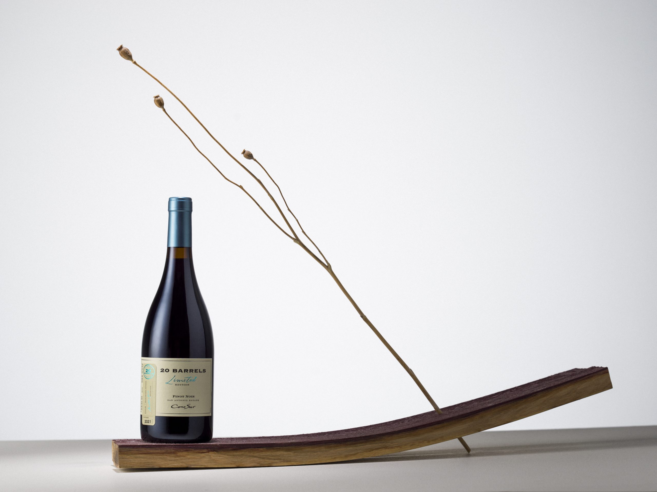 Cono Sur launches 'ultra premium' wine from new Chile appellation