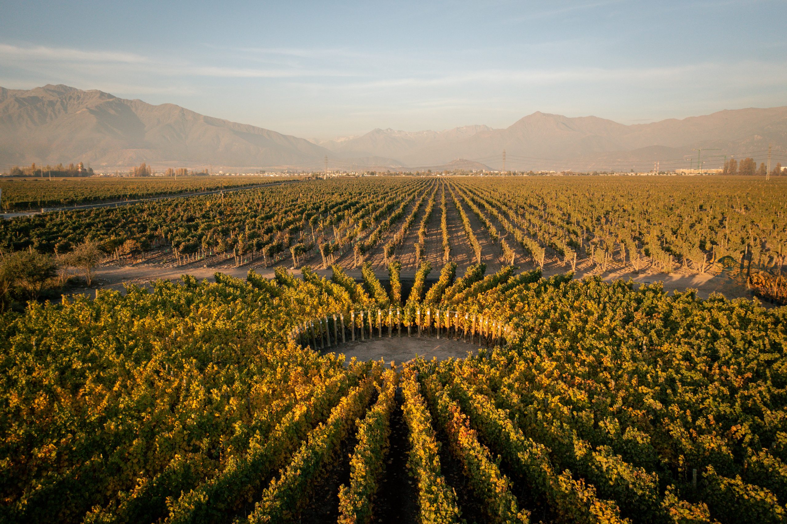 Don Melchor comes full circle