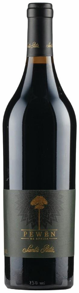 10 Chilean wine icons tasted and rated - The Drinks Business