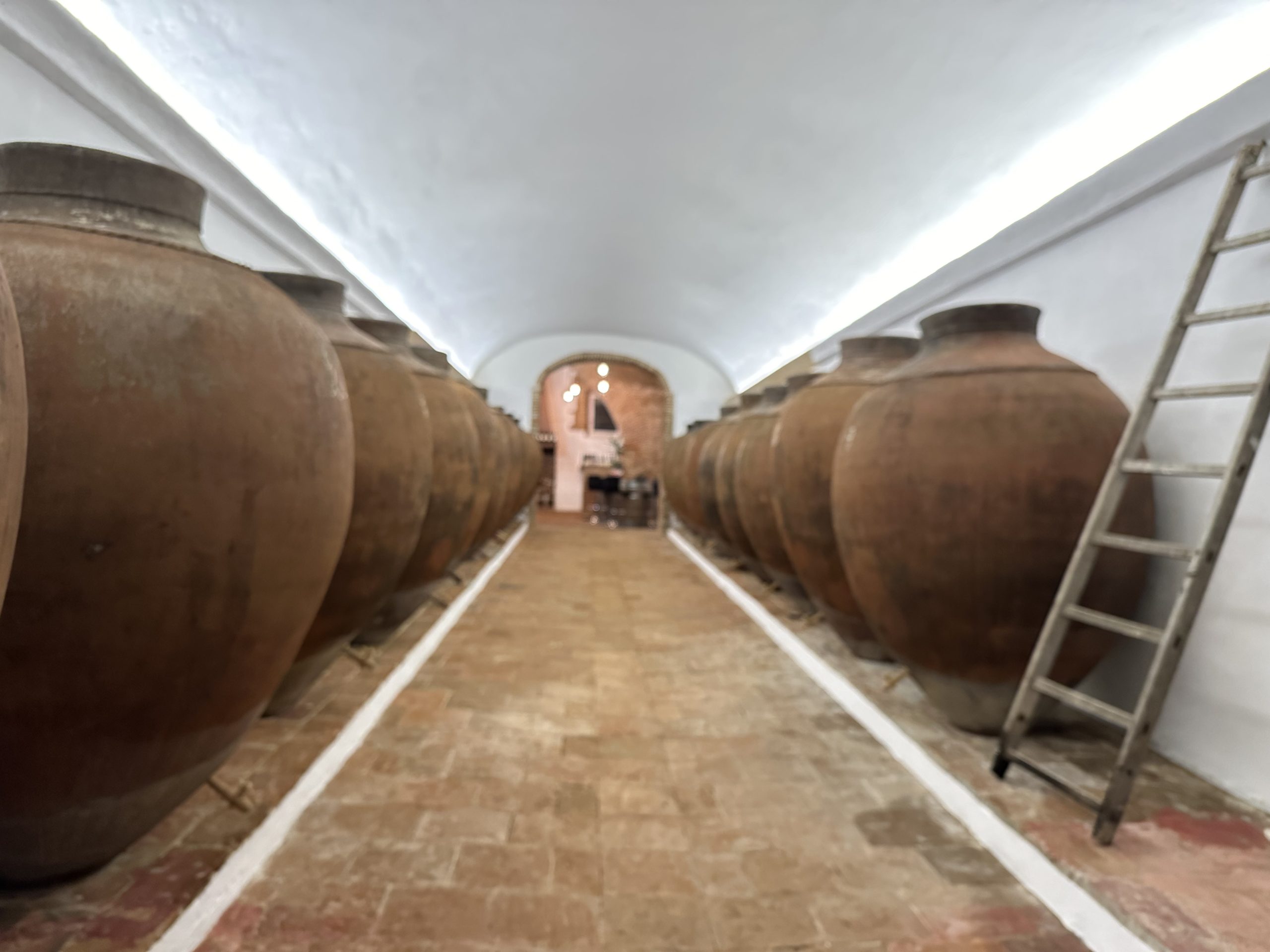 Could English amphora wines become more commonplace?