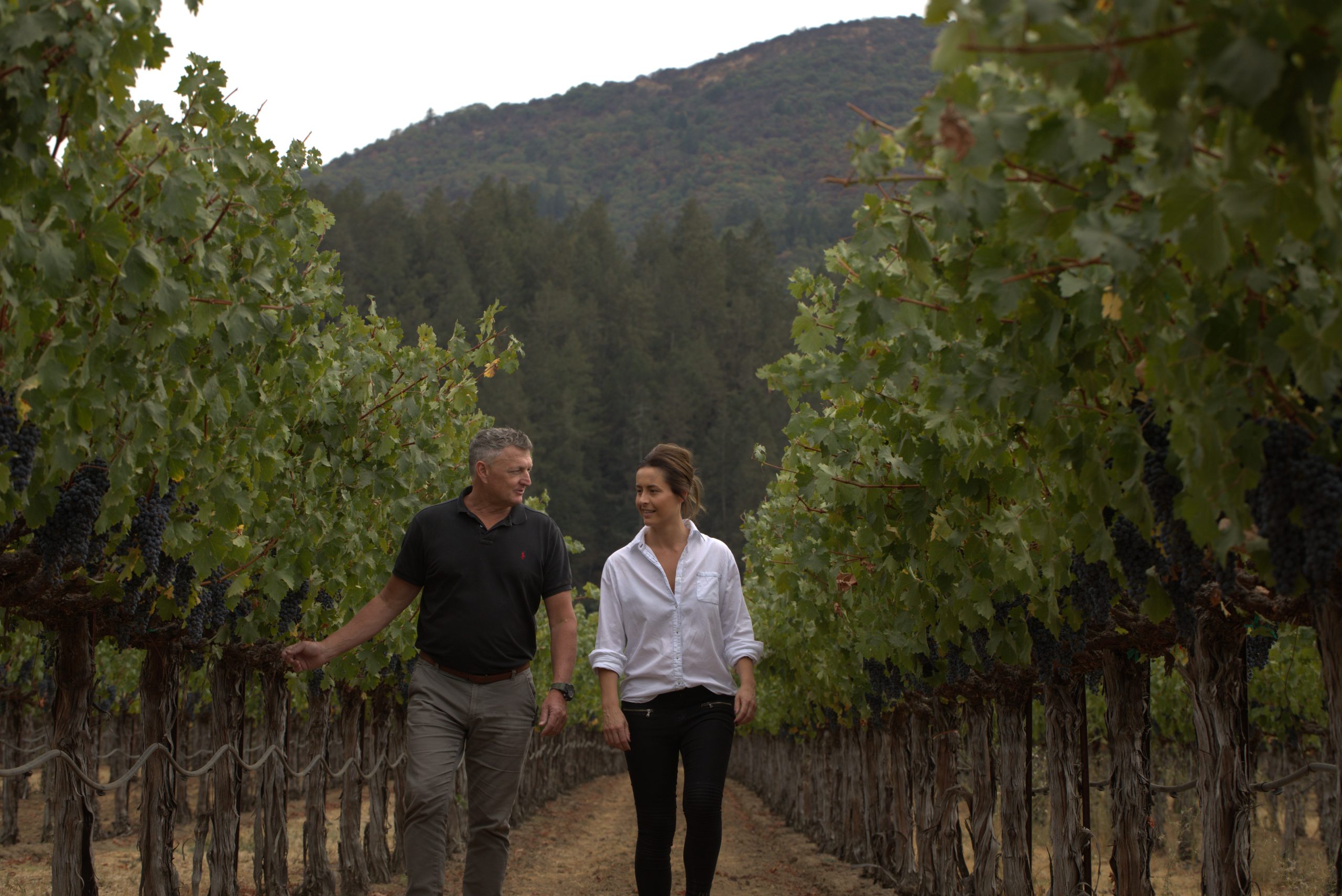 How Penfolds' curiosity in California evolved into a full collection