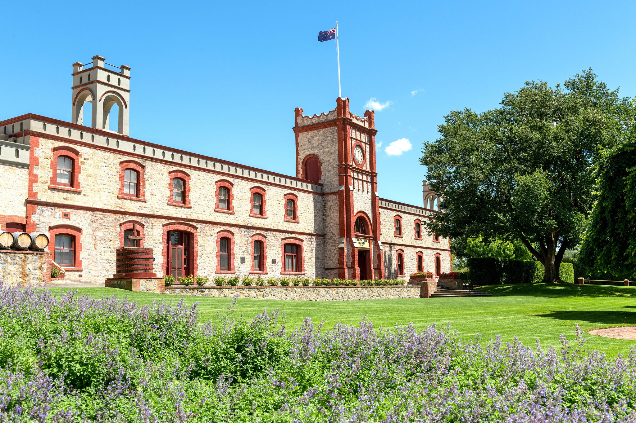 New world, old vines: Yalumba at 175 - The Drinks Business