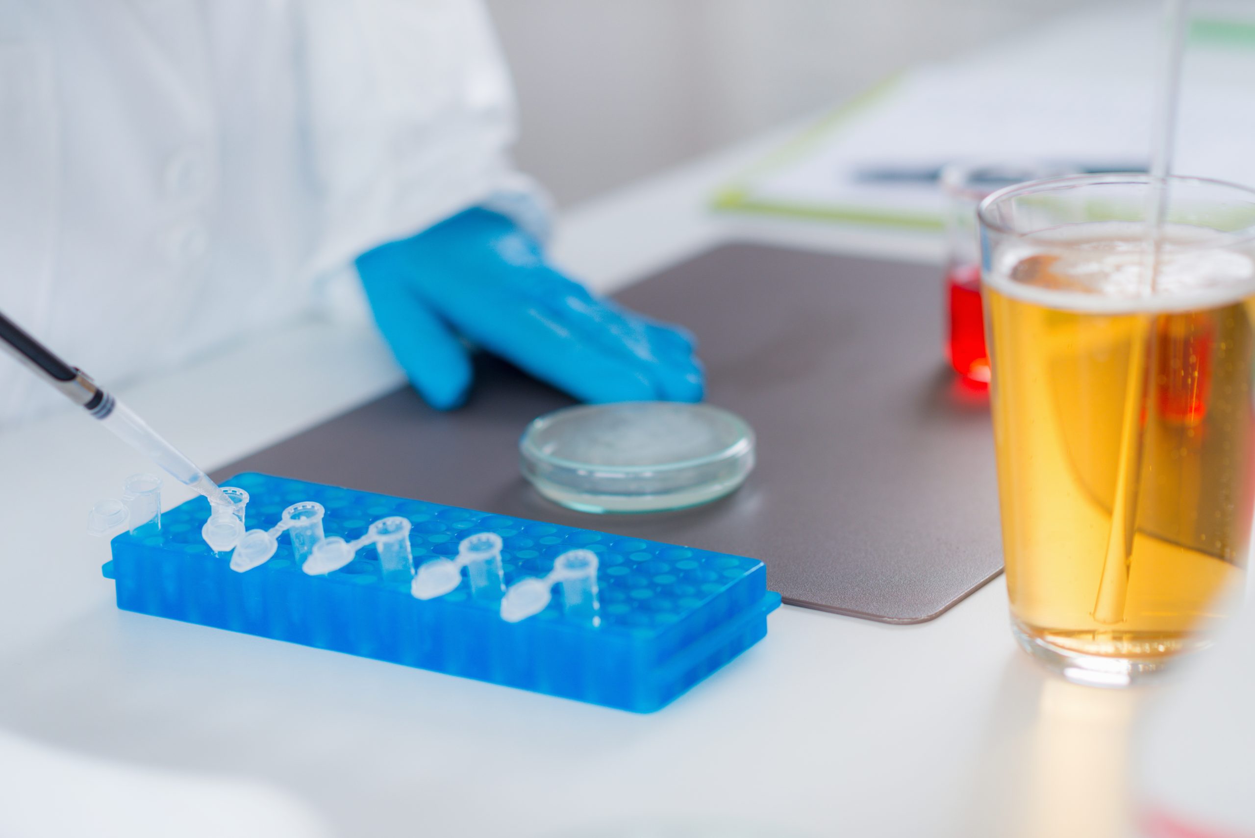 Scientists identify potential in probiotic beer