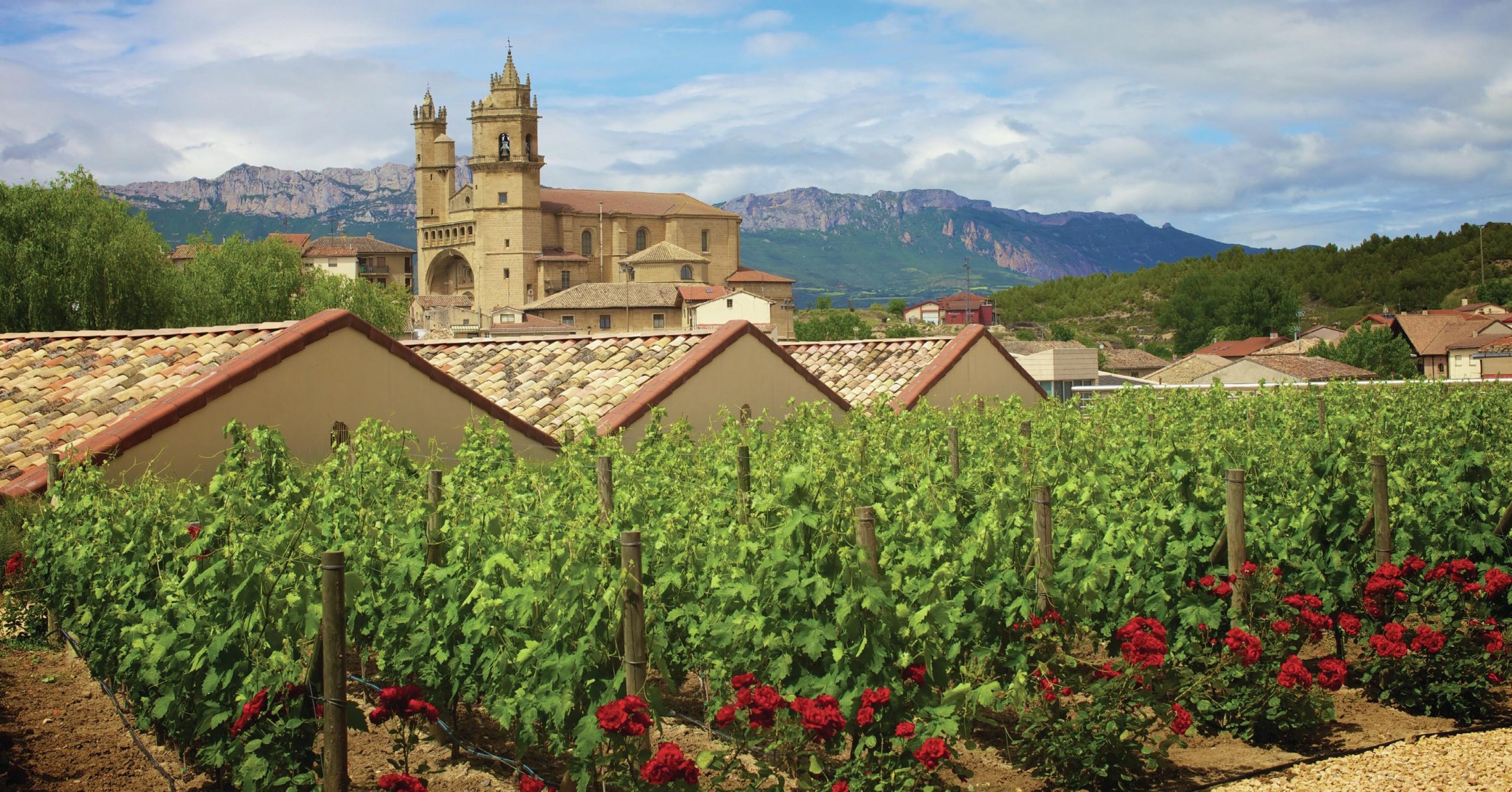 All the medallists from the Rioja Masters