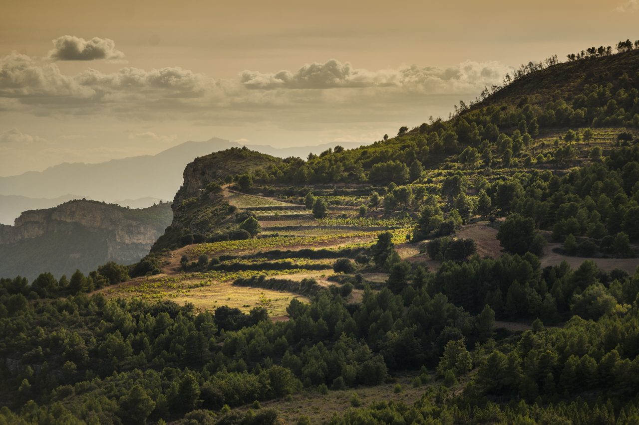 Scala Dei celebrates 50 years of Priorat winemaking