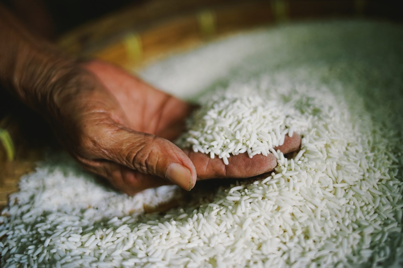Evidence for Neolithic rice beer discovered in China