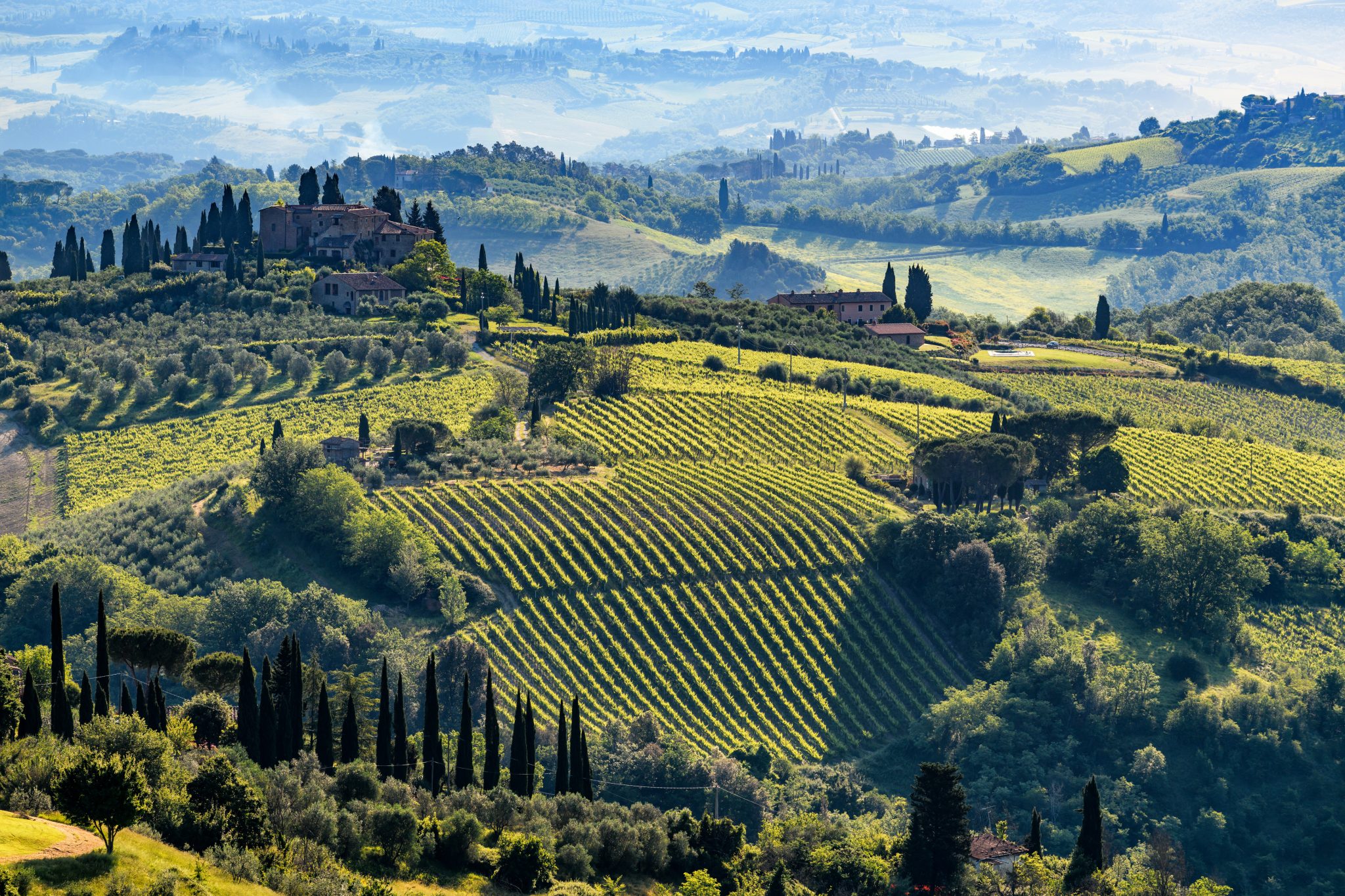 Hors Bordeaux tasting notes: Italy and Spain (reds) - The Drinks Business