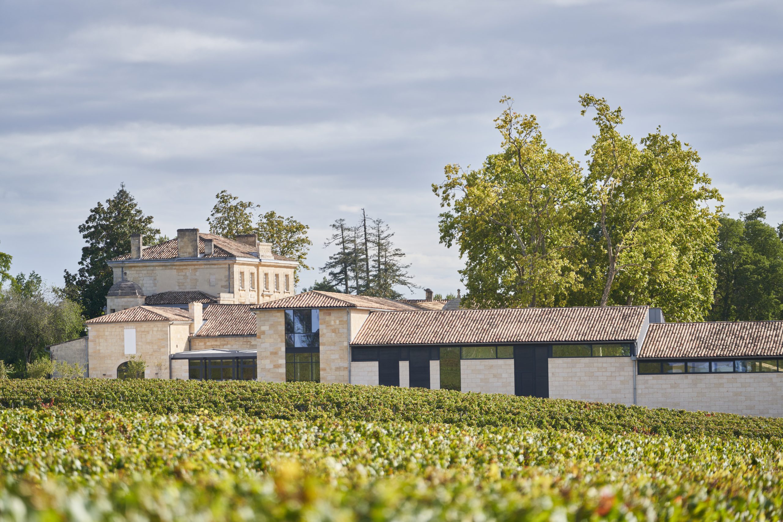 Château-Figeac unveils new label for first vintage following promotion ...