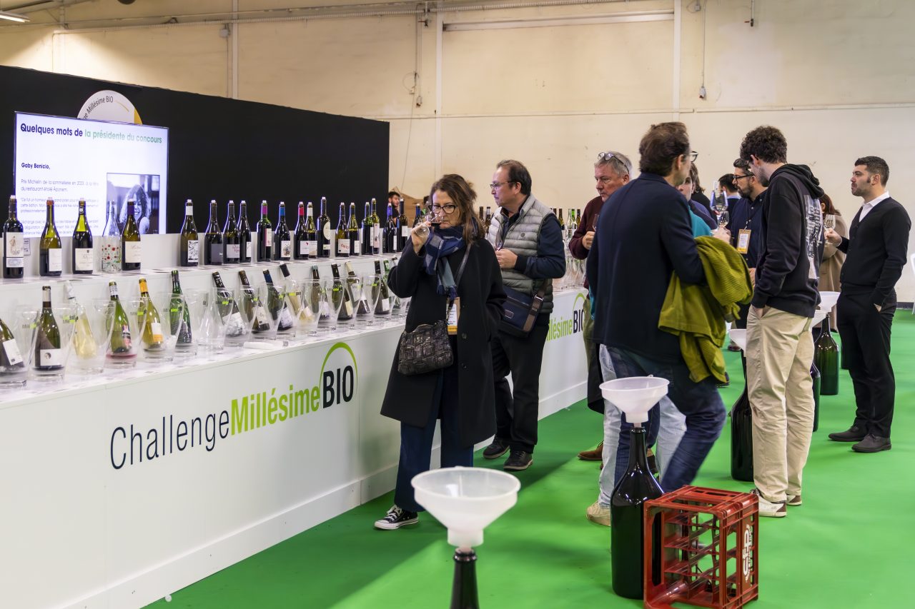 Millésime BIO 2025 puts emphasis on diversity and affordability