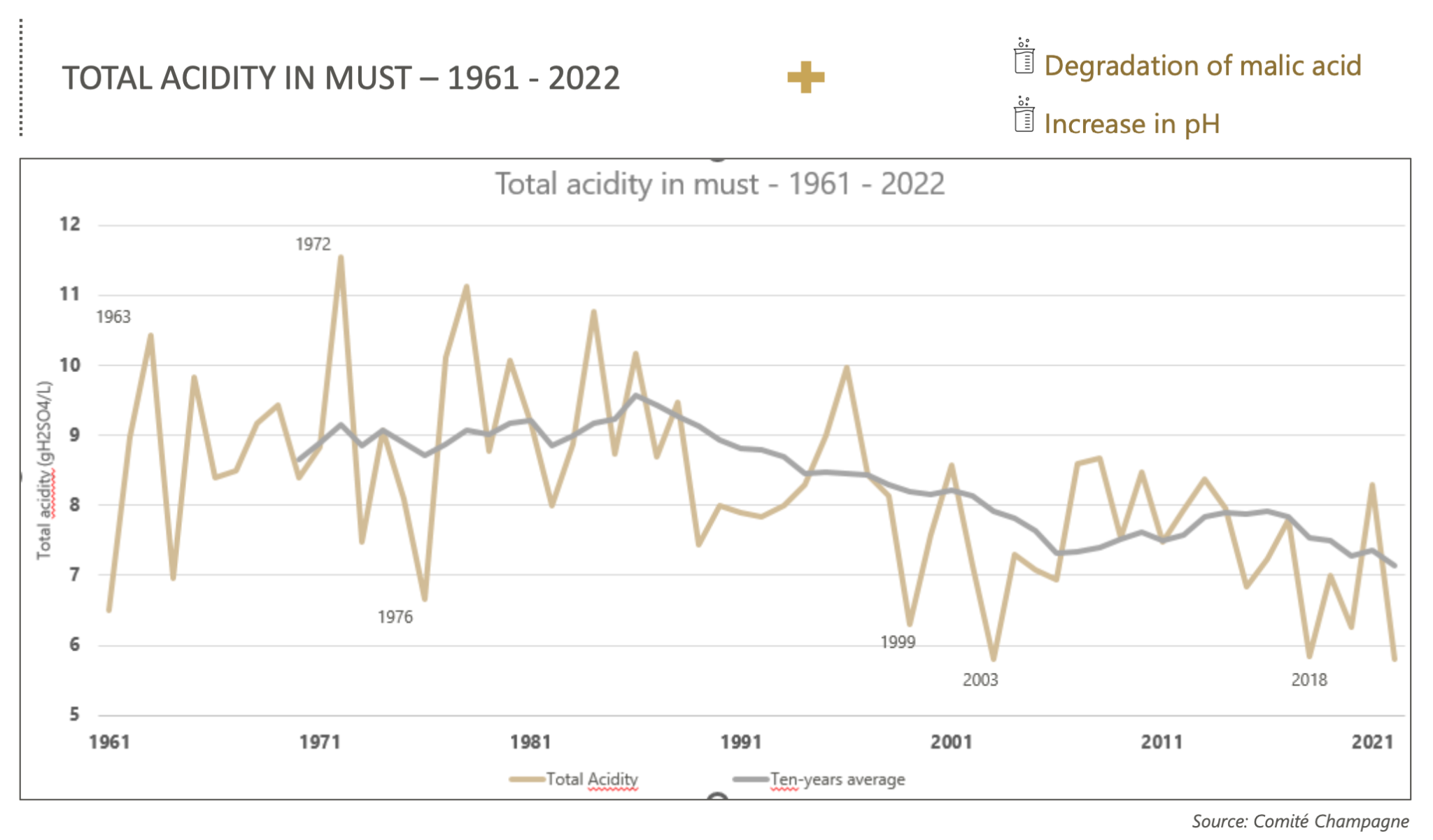 Why Moët is maintaining malo-lactic fermentations