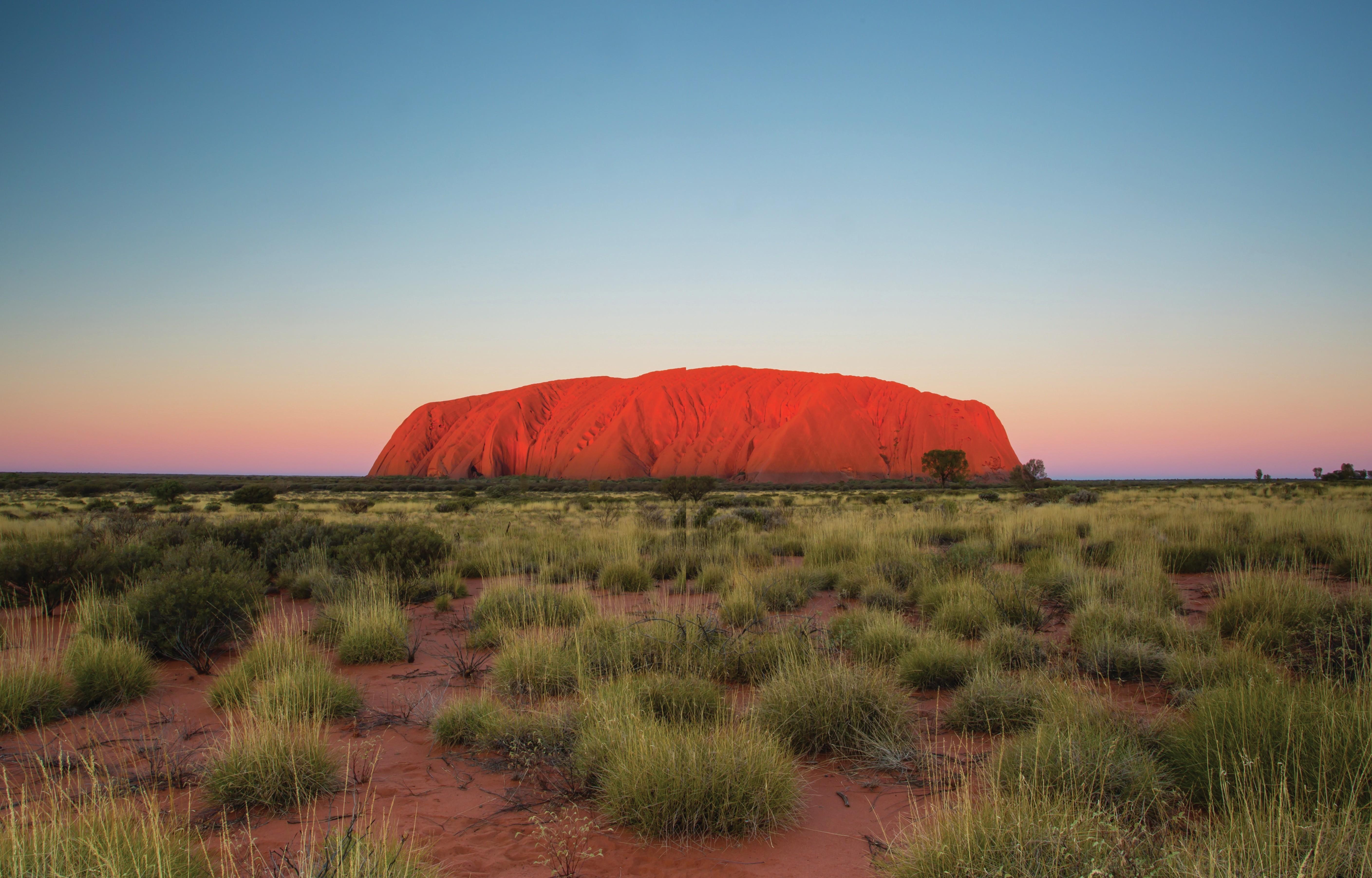Is the writing on the wall for Australian Shiraz?